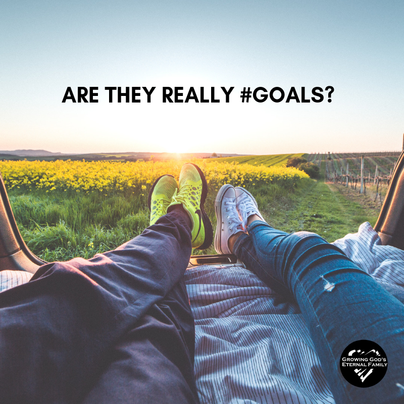 Are they really goals? – Growing God's Eternal Family