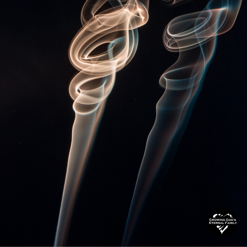 The Vanity of Life – Growing God's Eternal Family