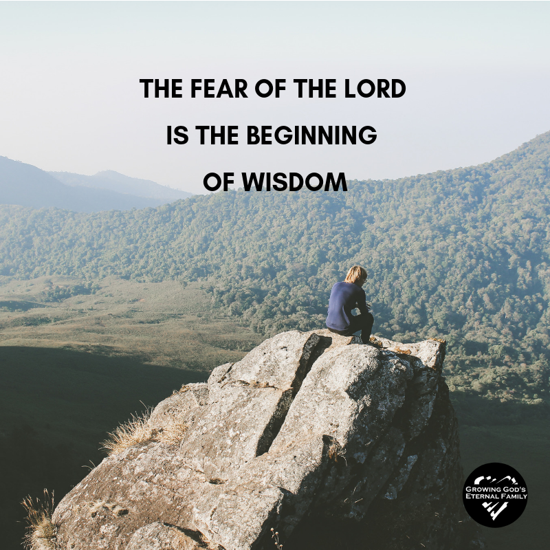 Get Wisdom this Year – Growing God's Eternal Family