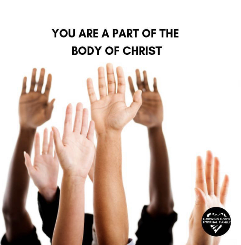 You are a part of the body of Christ – Growing God's Eternal Family